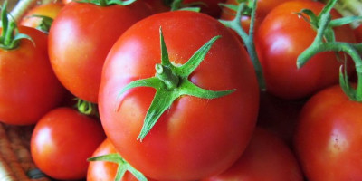 Melwin Fresh Produce